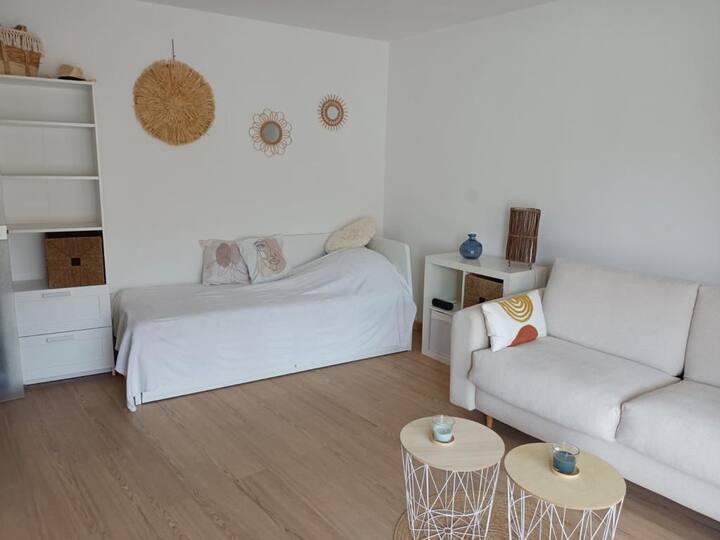 Coquet Studio Avec Grande Terrasse Et Garage - Sauvian