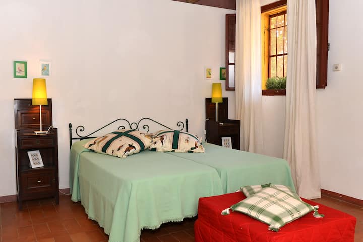 Cane - Appartement 5 Personnes Campagne Toscane - Livorno