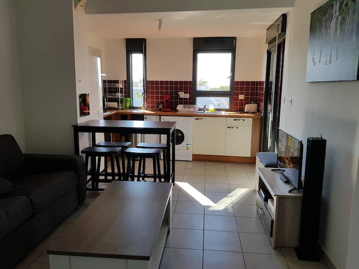 Appartement à 100 Mètres De La Plage (St Pierre) - Saint-Pierre