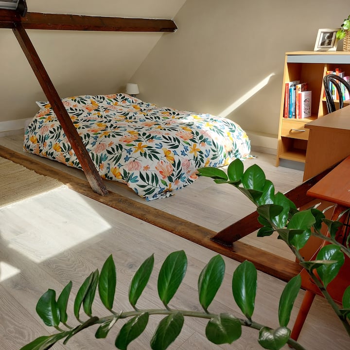 Eclectic Room In Our 19 Th Century House - Edegem