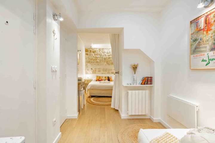 Authentic Paris Airbnb-louvre, Opéra, Palais Royal - Parigi