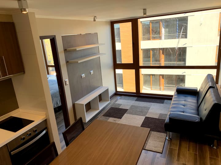 Exclusivo Departamento En Isla Teja, 3 Huéspedes - Valdivia