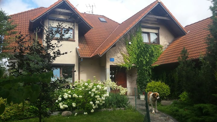 Apartament Leśna - Giżycko