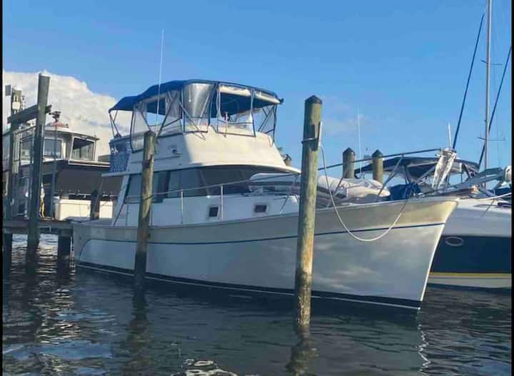Relaxing 1br House Boat. Sleeps 5+ (Dogs Allowed) - Apollo Beach, FL