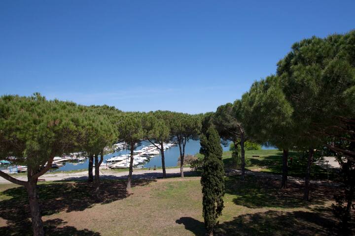 Studio 1ère Ligne "Bellevue Entre Golf Et Ponant" - La Grande-Motte