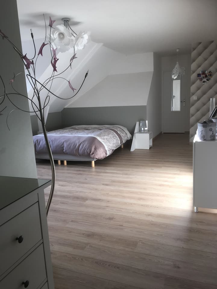 Trés Grande Chambre Avec Spa - Le Mans