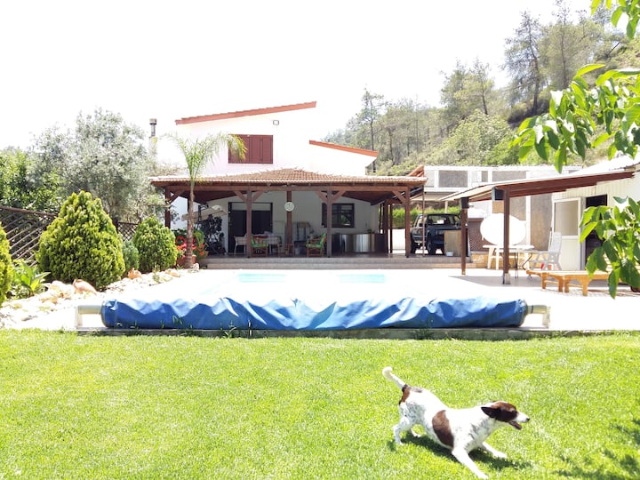 Lythrodontas Forest Home - Cyprus
