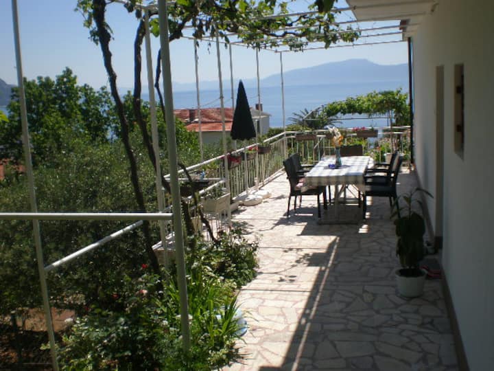 Visit Dubrovnik And Split Area - Brist