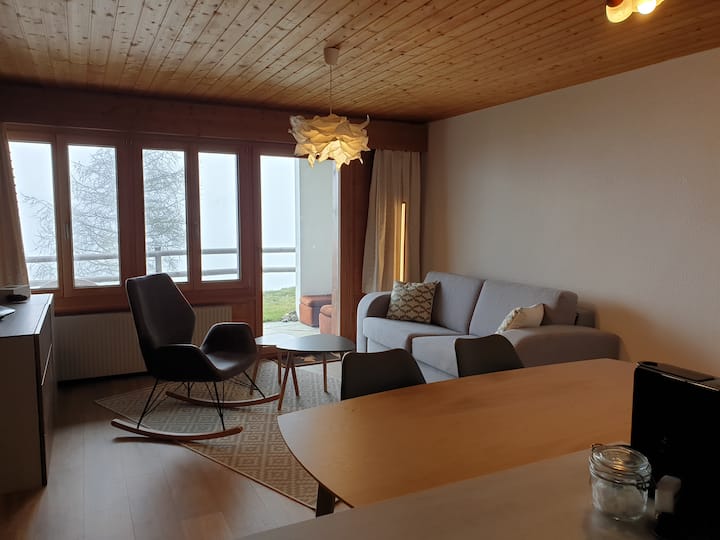 Ab 2_appartement_jardin_1,5 Chambres_4 Personnes - Sierre