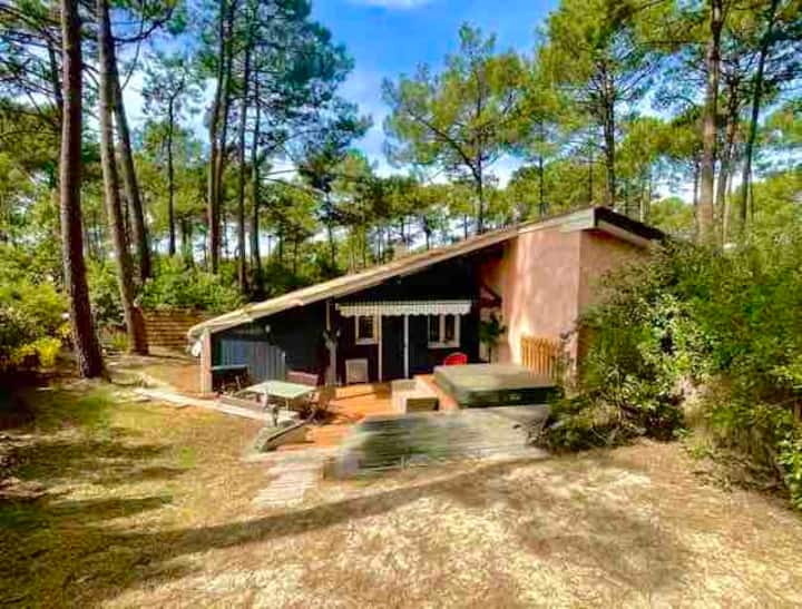 Le Bonheur Sous Les Pins Lacanau Océan - Lacanau