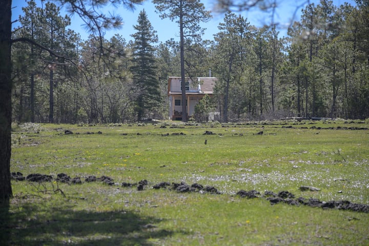 Tranquility On The Mountain "Los Vallecitos Llc - Morphy Lake State Park, Mora