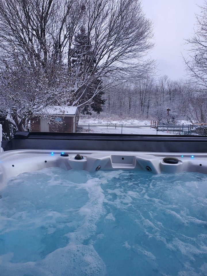 Waterside Haven: Spacious Retreat W/hot Tub - Orillia