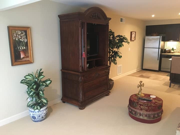 Enjoy Msu From Condo Within Walking Distance - Starkville, MS