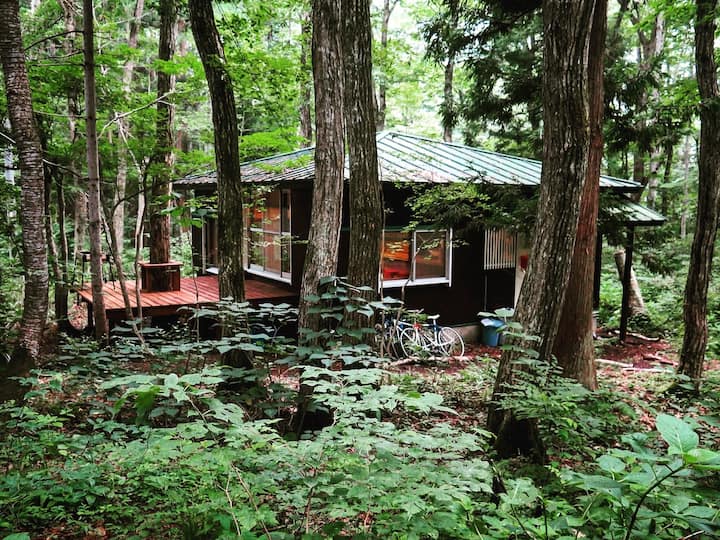 Lake Nojiri Cabin Nature, Hiking & Ski Escape - Nagano