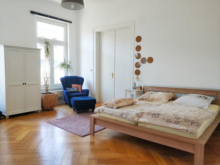 Diez - Center - Schöne Altbauwohnung - Gästezimmer - Limburg an der Lahn