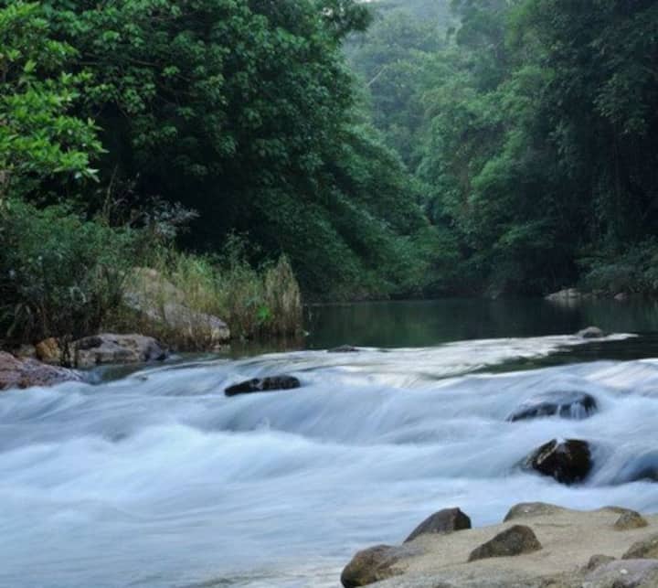 Khaosok Rainforest Resort - 