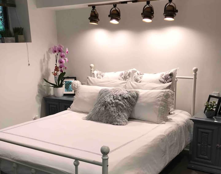Pretty Suite In Lincoln Park -Free Parking Spot! - Park West - Chicago