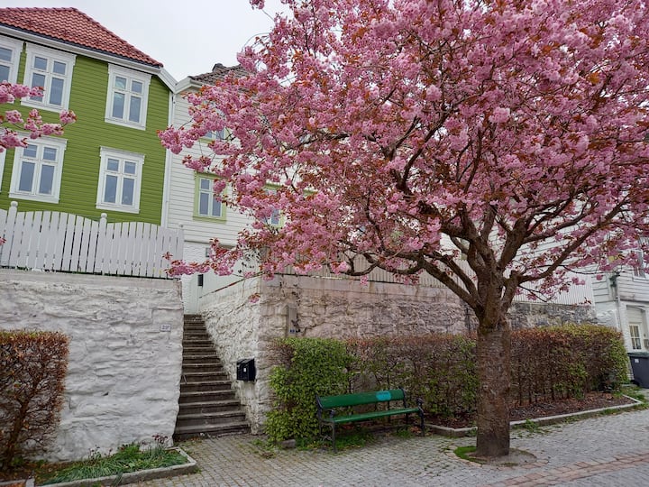 A Nice Room Close To The City Center. - Bergen
