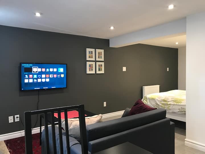 Private Central Toronto Apartment Near Casa Loma - Toronto