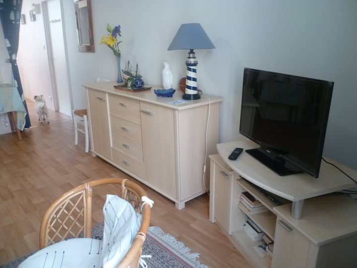Roscoff 400m Mer Appartement 2/3 Pers (Jardin) - Île de Batz