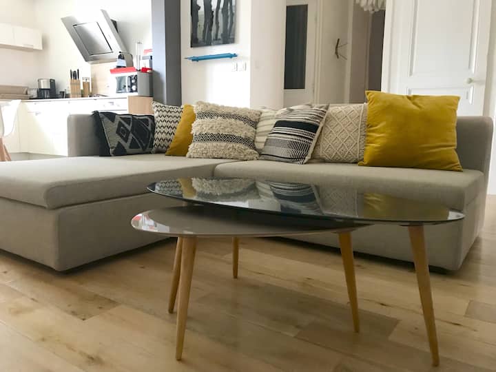 Joli T4 85m2 Climatisé (Air Conditioner) Lyon 6eme - Lyon