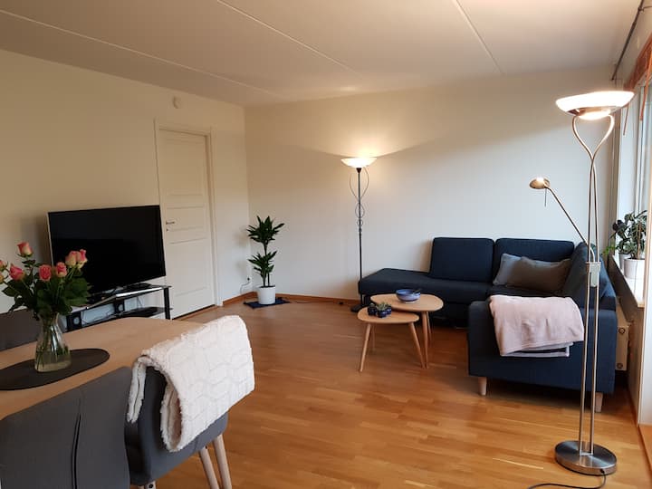 Central Apartment With All You Need - Oslo
