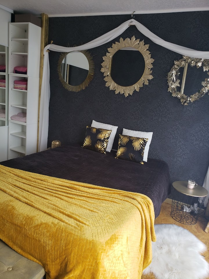 Chambre Privée Avec Lit éLectrique - Belleville, France