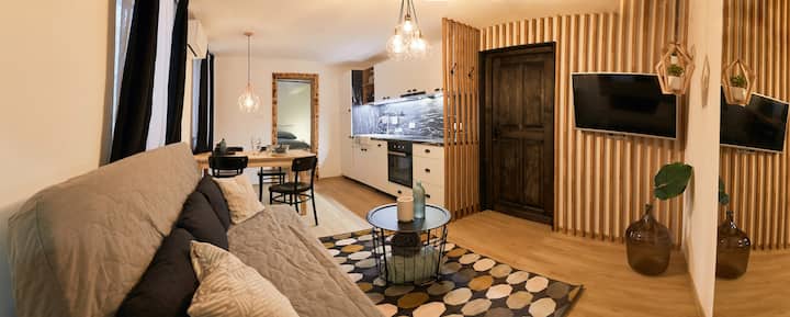 New Apt In Historic Centre. Free Bikes Included - Ljubljana