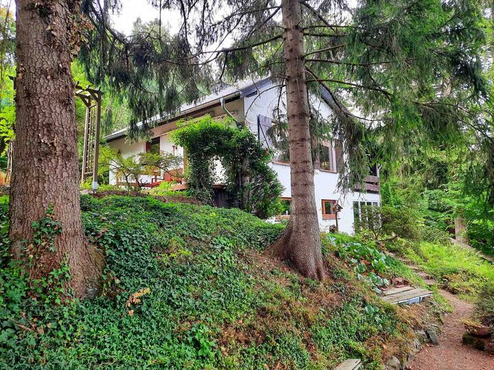 Rustig Gelegen Vakantiehuis Sauerland - Diemelsee