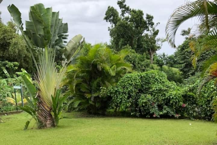 Résidence Les Araucarias - Guadeloupe