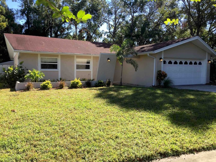 Whole House Minutes From Downtown Safety Harbor - Safety Harbor, FL