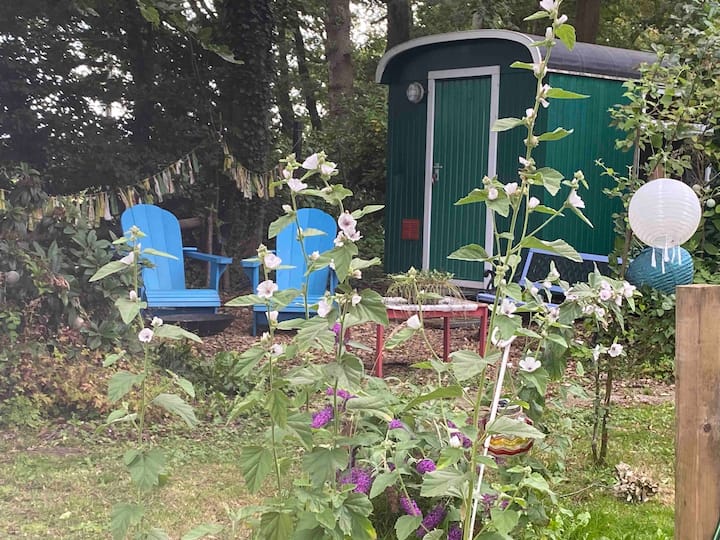 Wat Een Leuk Keetje! Slapen En Werken In Rust! - Zwolle