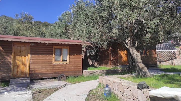 Assos Bungalov Zeytinlikler  Ve Denizin Yanında - Assos