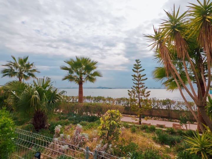 Apprécier La Nature Dans Un Coin Convivial - Tunis