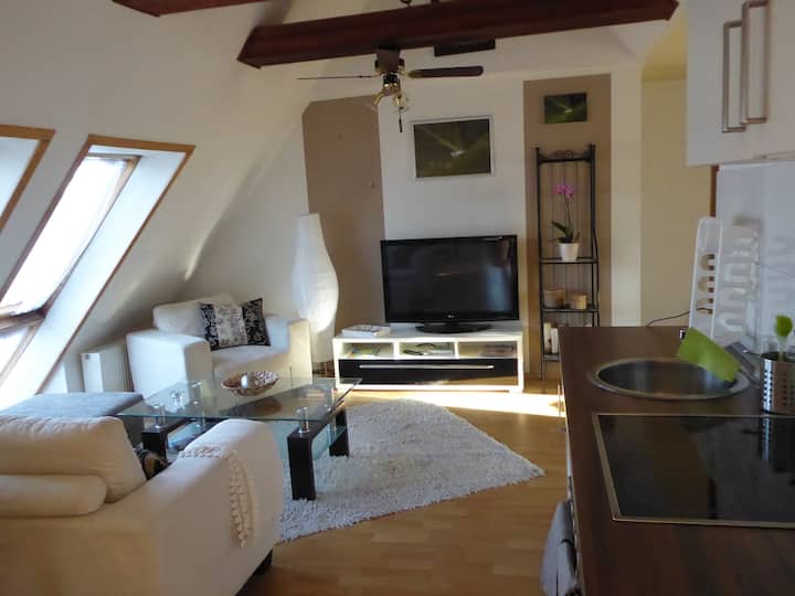 Ostsee-ferienwohnung "Storchennest" - Dassow