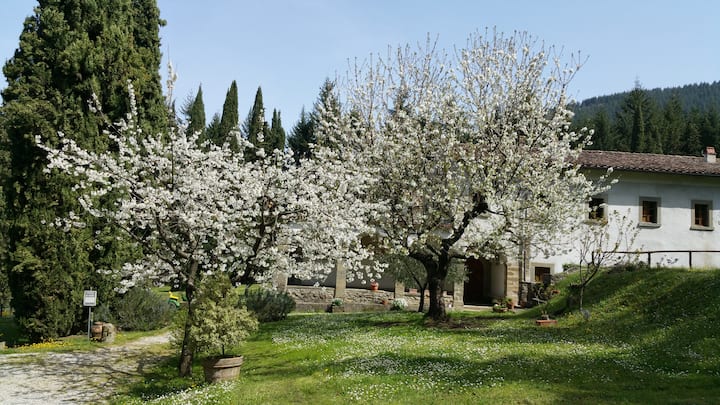 Il Convento Del Carmine - Cerreto Laghi