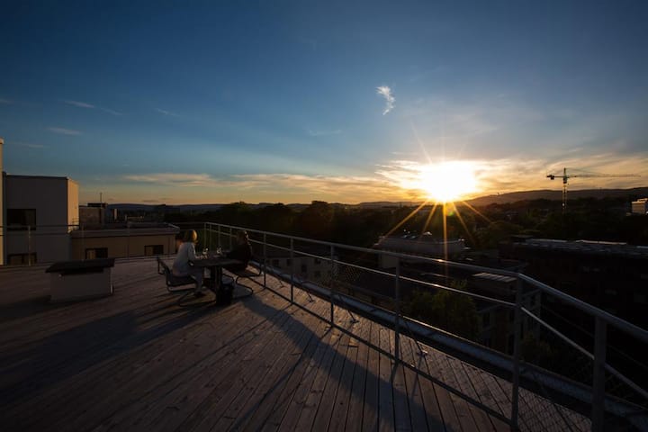 Central, Quiet, Green W/ View - Rooftop Terrace! - Oslo