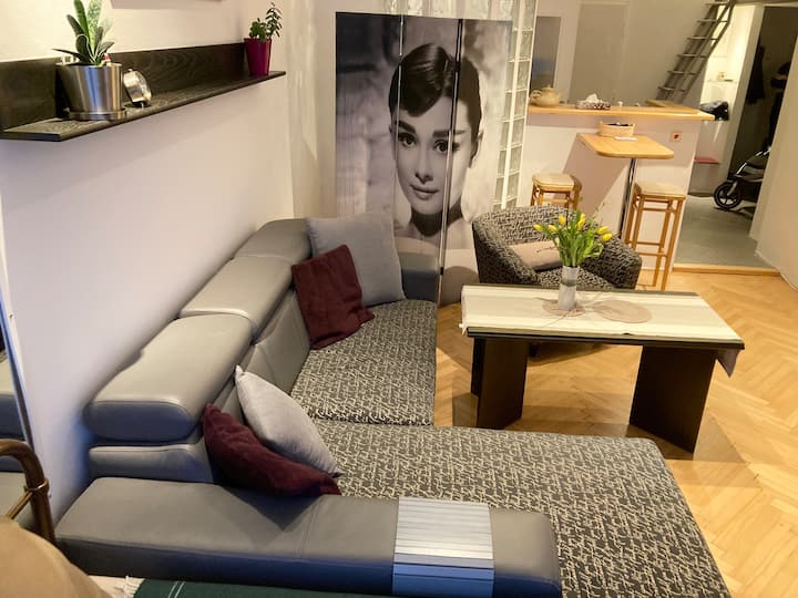 Private Flat Close To Tower Park Just For You - 프라하