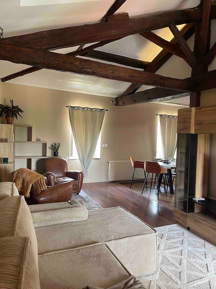 Appartement De Charme 80m2 - Givors