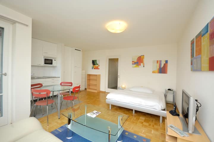 Spacious Studio With Balcony (Vineyard 71) - スイス チューリッヒ