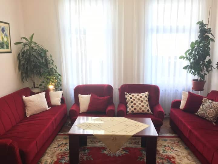 Big Center Apartment With Garden View Terrace - Sarajevo