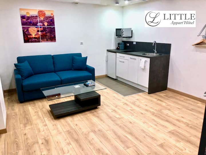 Pologne - Appart Standing 1 Chambre + Salon 40m² Coeur Vieux Lille - Lille