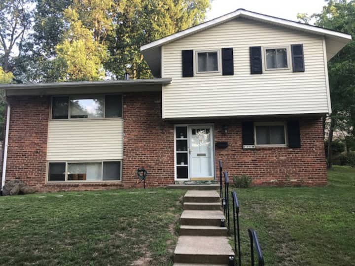 Beautiful Basement Unit With Separate Entrance - Rockville, MD