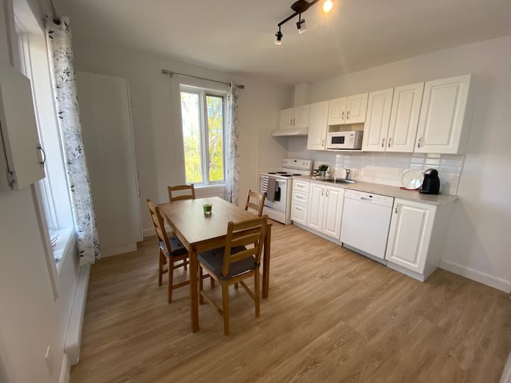 Cozy Limoilou Apt + Ac, Fast Wifi & Private Entry - Quebec City