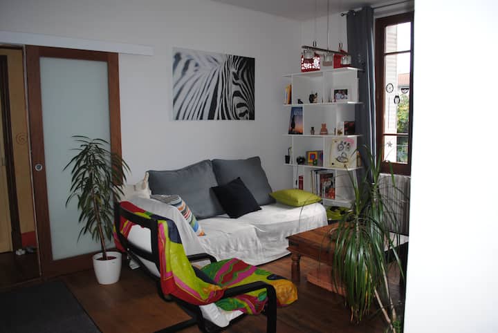 Maison Familiale Avec Jardin En Centre-ville - Romans-sur-Isère