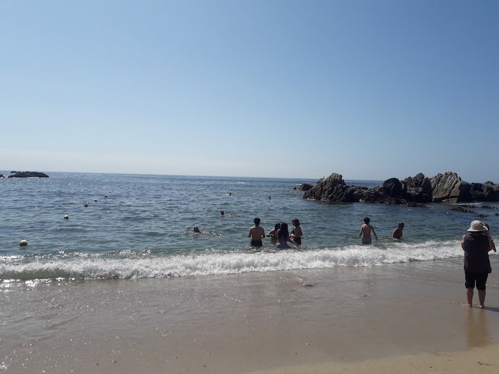 Arriendo Departamento Con Cón. - Concón