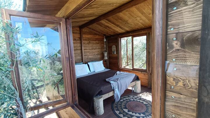 The Treehouse - Casa Sull'albero D'ulivo - Amantea