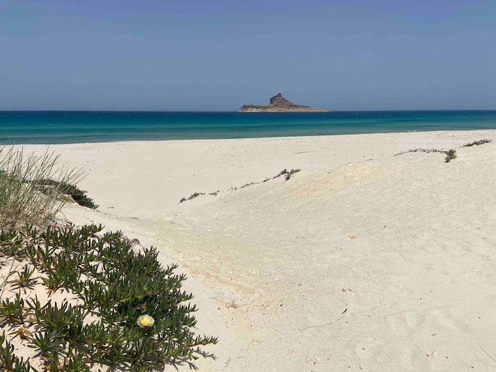Dar Papi, Lahmeri Rafraf , Bizerte - Tunisia