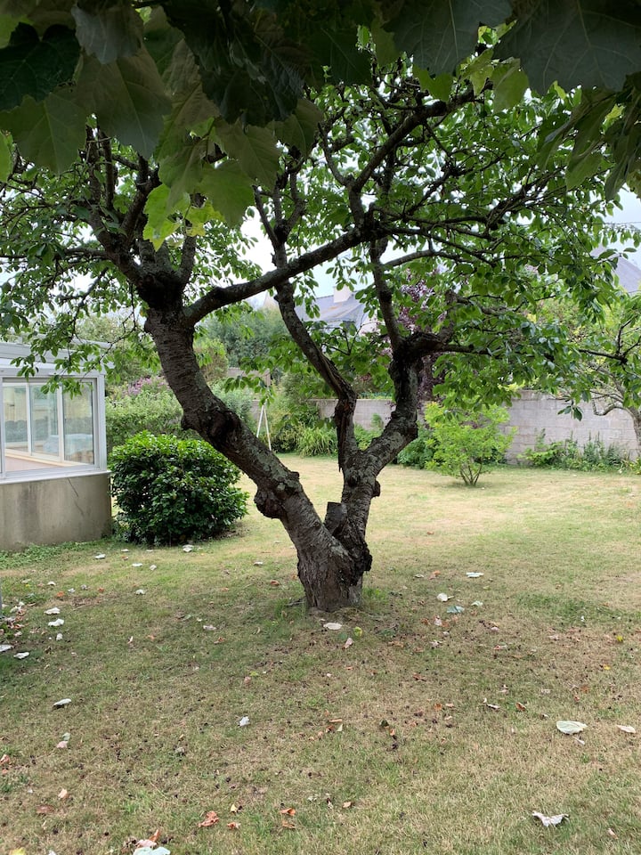 Saint-malo (Saint-ideuc) : Maison Familiale - Bretagne