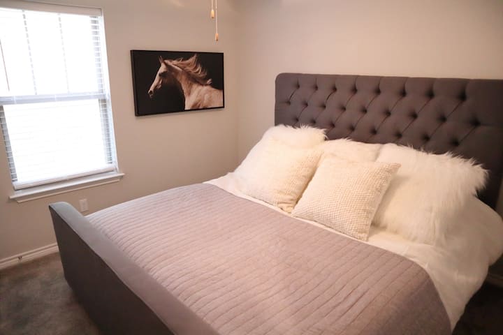 "The Heart Of Texas" Suite - Georgetown, TX